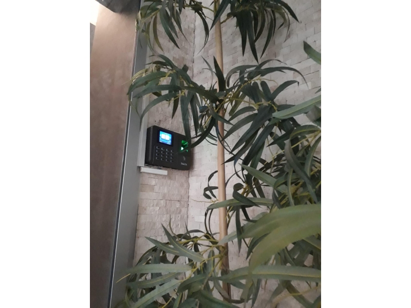 Magic Pass 20656 ID Fingerprint Personnel Attendance Device